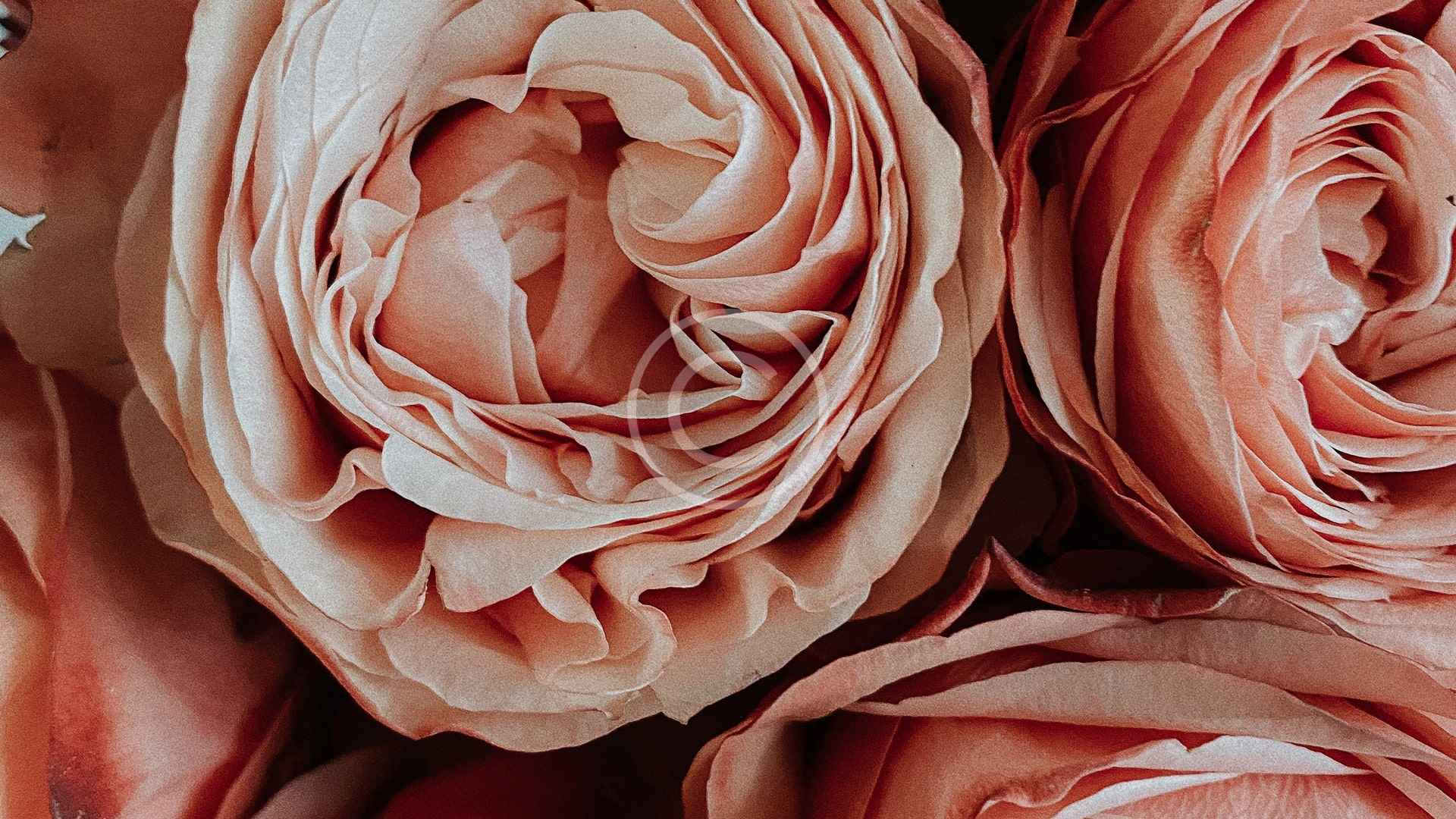 Creative Supervision - Nurtured Mums Psychology